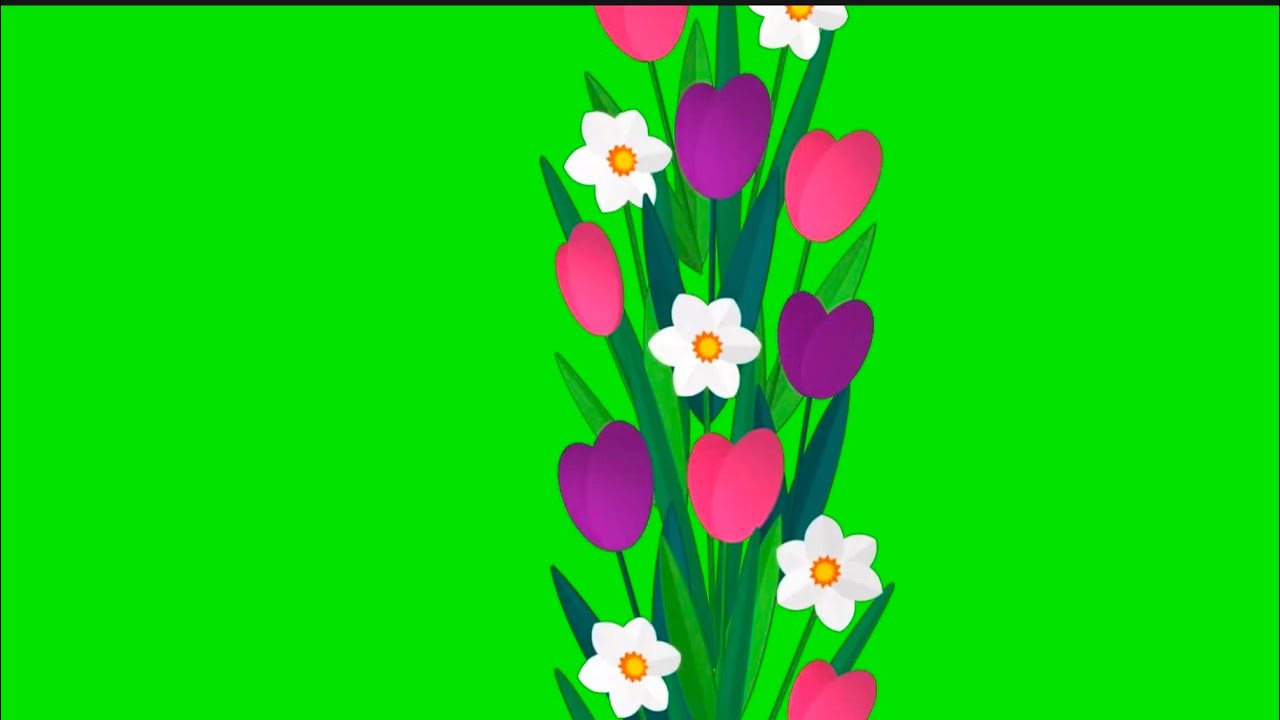 Rotating beautiful flowers-Free Green Screen - YouTube