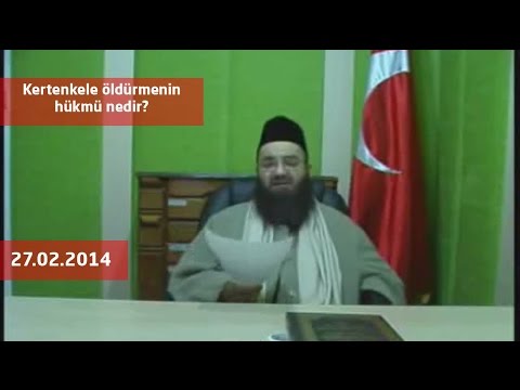 Cübbeli Ahmet Hoca - Kertenkele öldürmenin hükmü nedir?