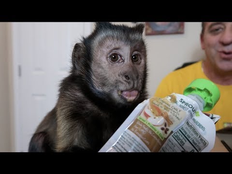 Monkey Unboxing Mail Vlog! (MONKEY MONDAY) - YouTube