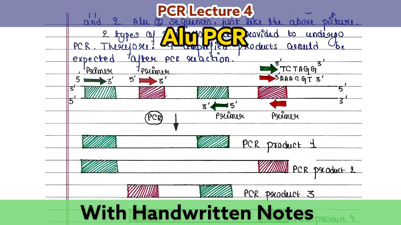 Alu PCR | Type of PCR | PCR Lecture series - YouTube