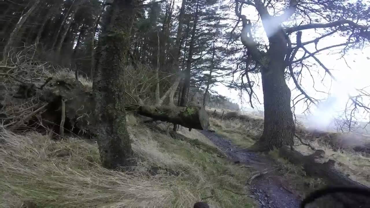 Cringle Plantation - YouTube