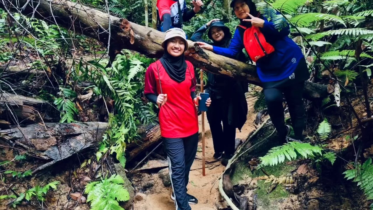 Waterfall Trekking Sg. Sedim - YouTube