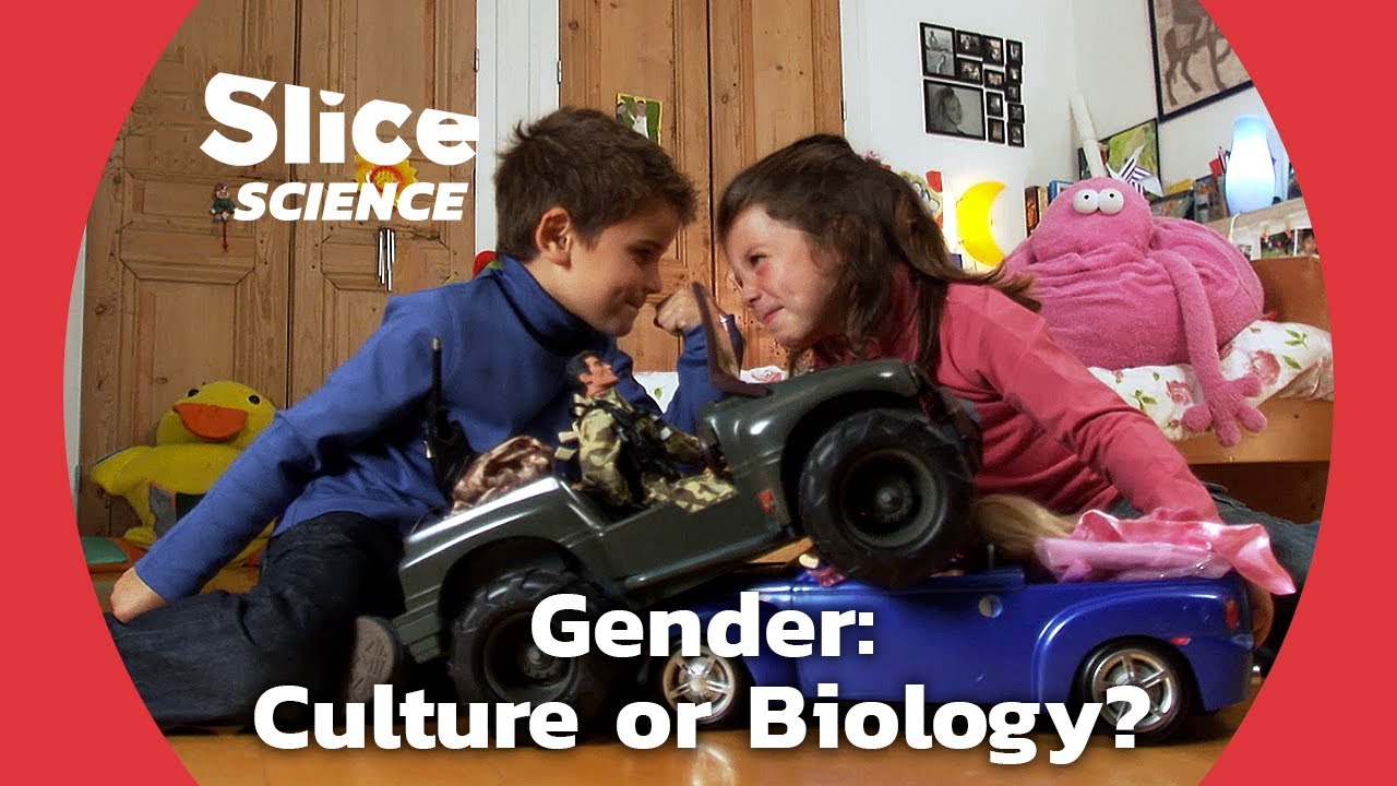 Shaping Gender Roles: Exploring Behavioral Differences in Boys and ...