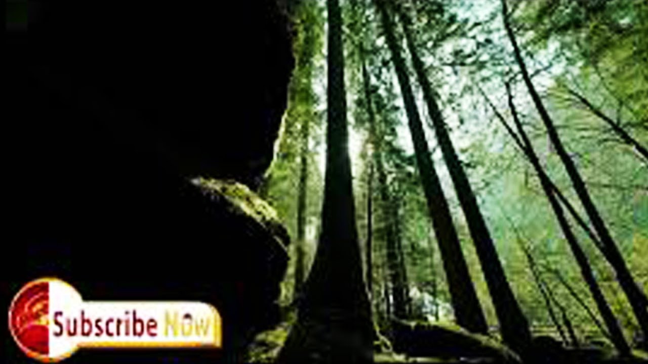 Rev. Seth Baah (The Mercy Of God) - YouTube