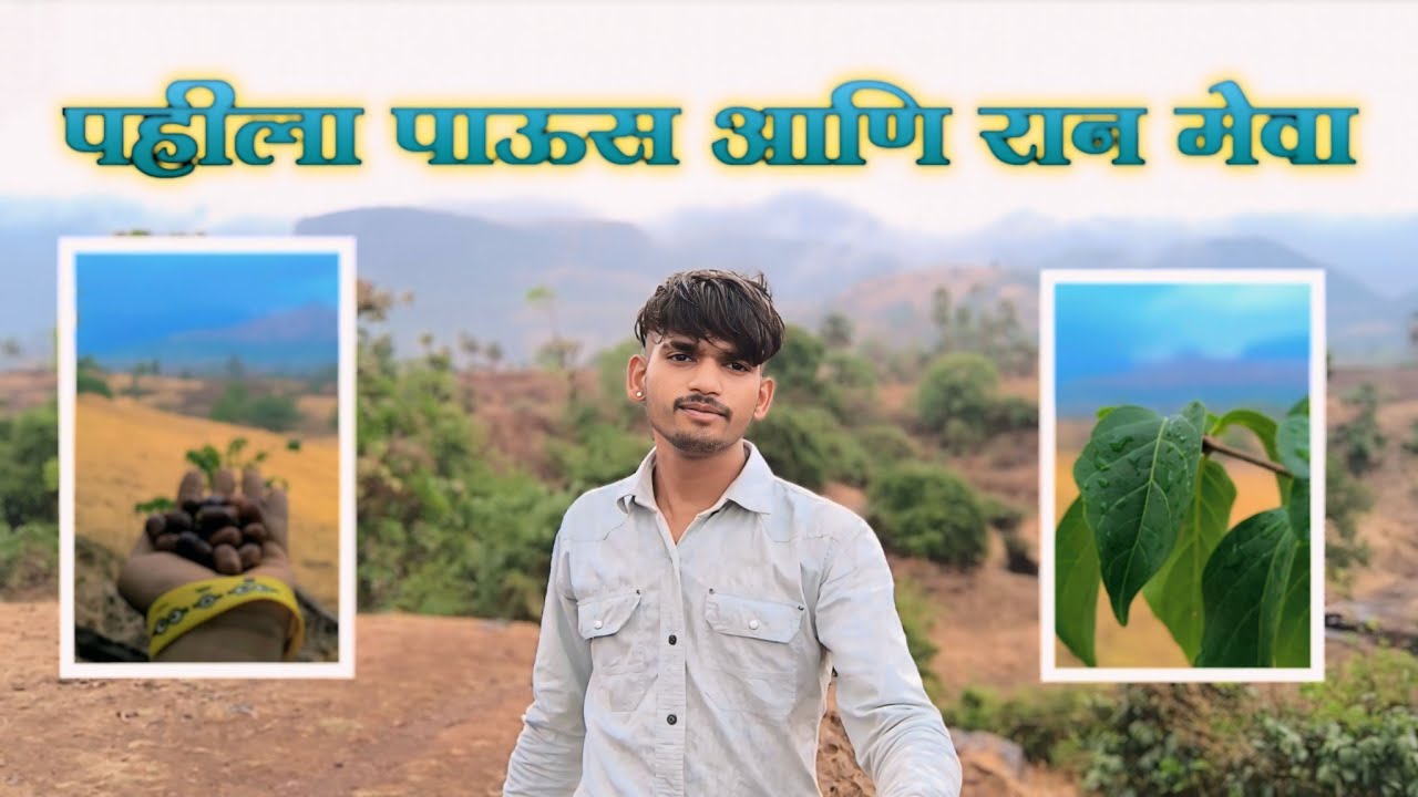 पहीला पाऊस आणि रान मेवा 💕😘🌲😋pahila pausa aani ran meva - YouTube