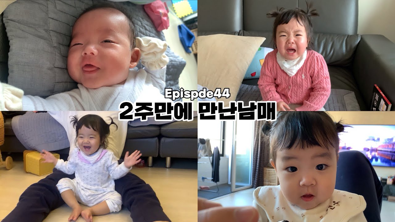 육아 브이로그 44회 연년생 남매의 재회 남매 브이로그 연년생 육아 호랑이띠 토끼띠 신생아 워킹맘 육아대디 육아 육아템 육아공부 Youtube