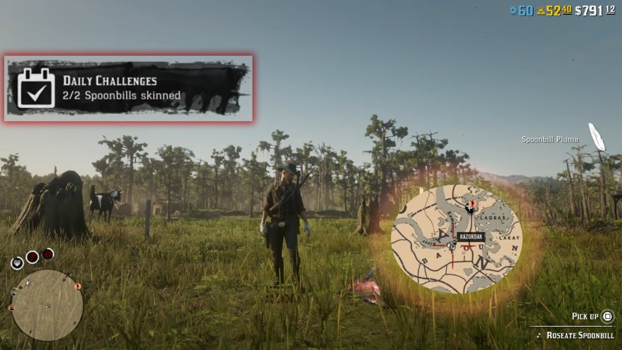 RDR2 Online - Spoonbill location (HUGE FLOCKS!) - YouTube