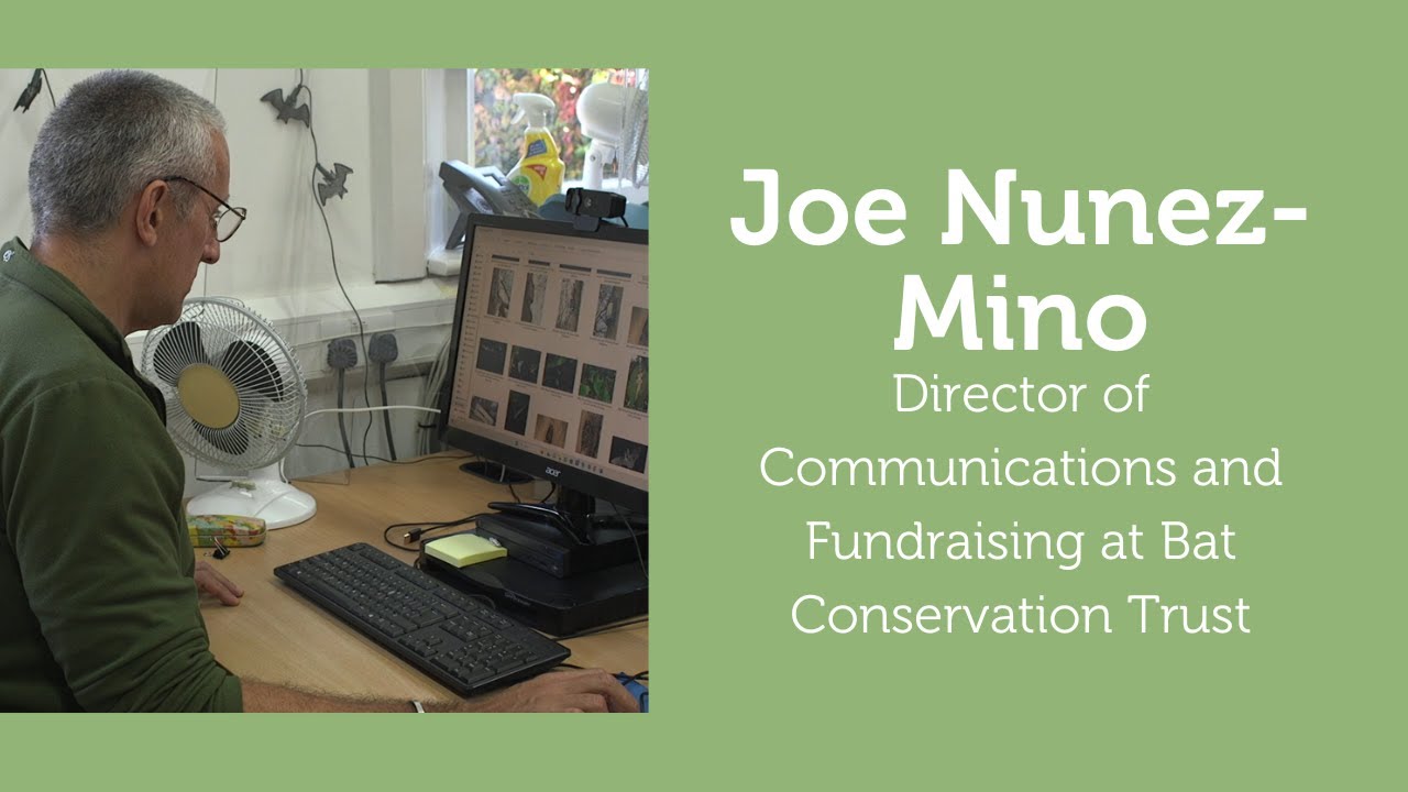 Routes Into The Sector: Joe Nunez Mino - Director of Communications and ...