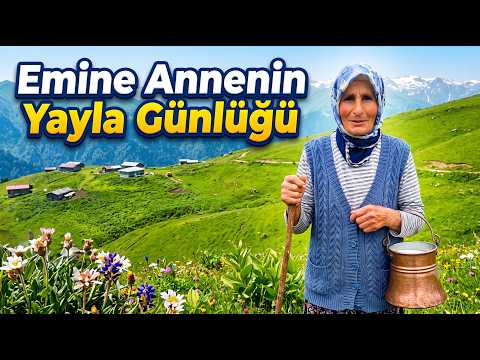 Emine Anne ile Yayla Hayatı: Tertemiz Hava ve Doğal Yaşam #karadeniz #anne  #yayla #trabzon