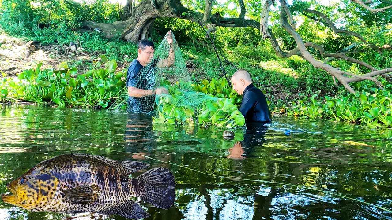 LA MEJOR TÉCNICA DE PESCA! CUANTOS GUAPOTES PESCA CON EL TASHTULEADO ...
