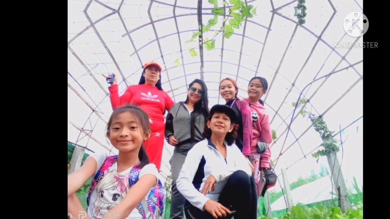 "SEBUL FARM IN LAKE SEBU SOUTH COTABATO REGION 12" - YouTube