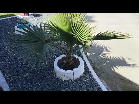 Live streaming of canal / 69 com john silva