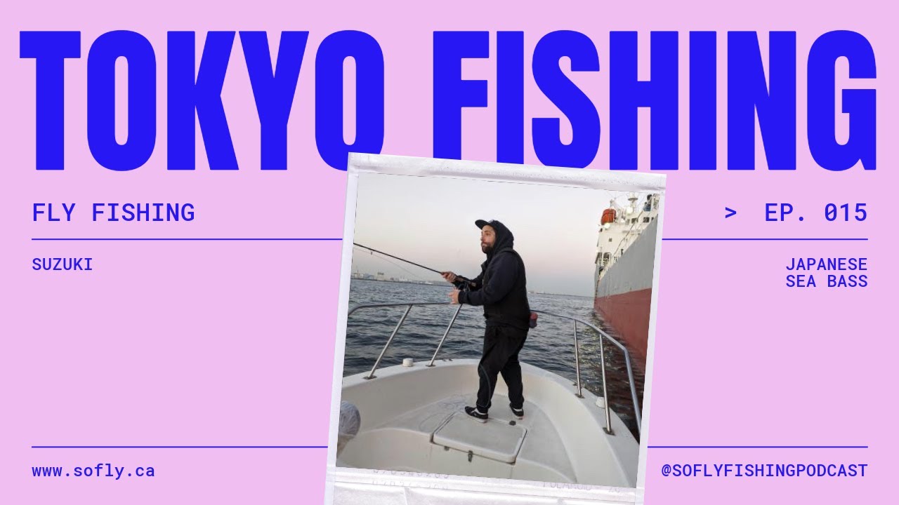Fly Fishing in Japan on Tokyo Bay for Suzuki, Japanese Sea Bass | DAY ...