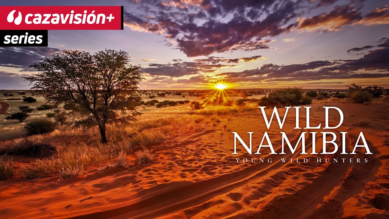 Wild Namibia - YouTube
