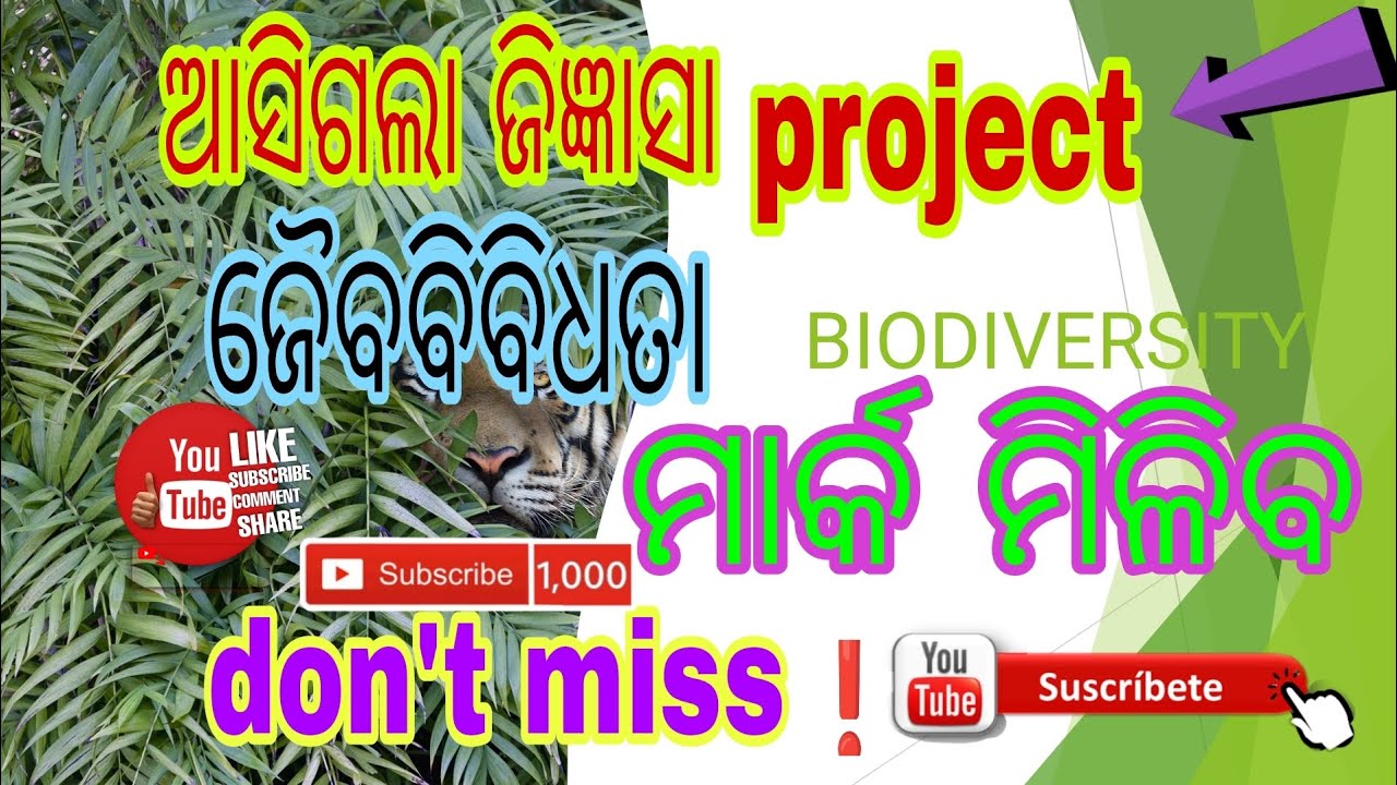 jigyasa.biodiversity school project. #jigyasaproject # ...