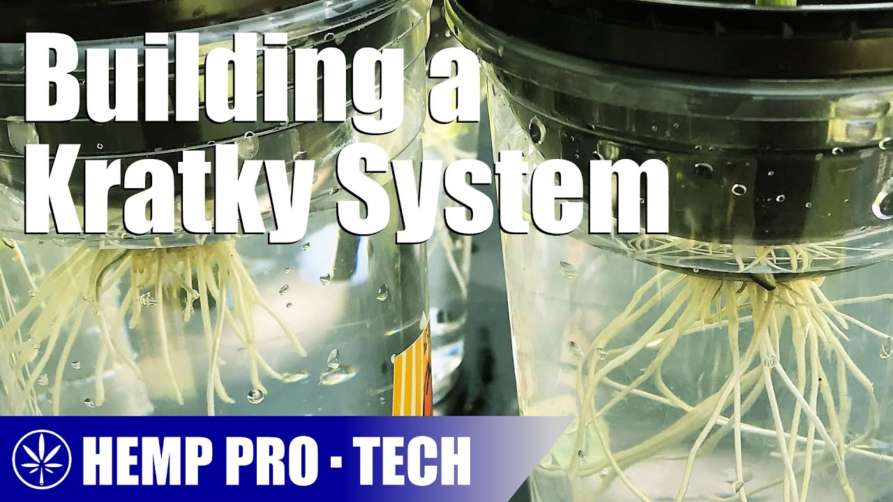 Putting Together a Basic Kratky Hydroponic Build - YouTube