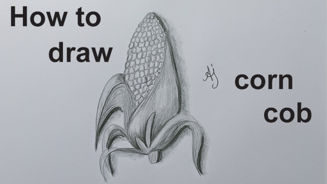 corn cob drawing | How to draw corn easy | how to draw corn step by ...