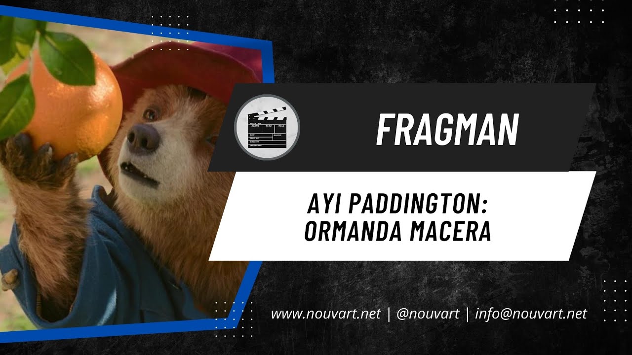 Ayı Paddington: Ormanda Macera | Türkçe Dublajlı Fragman - YouTube