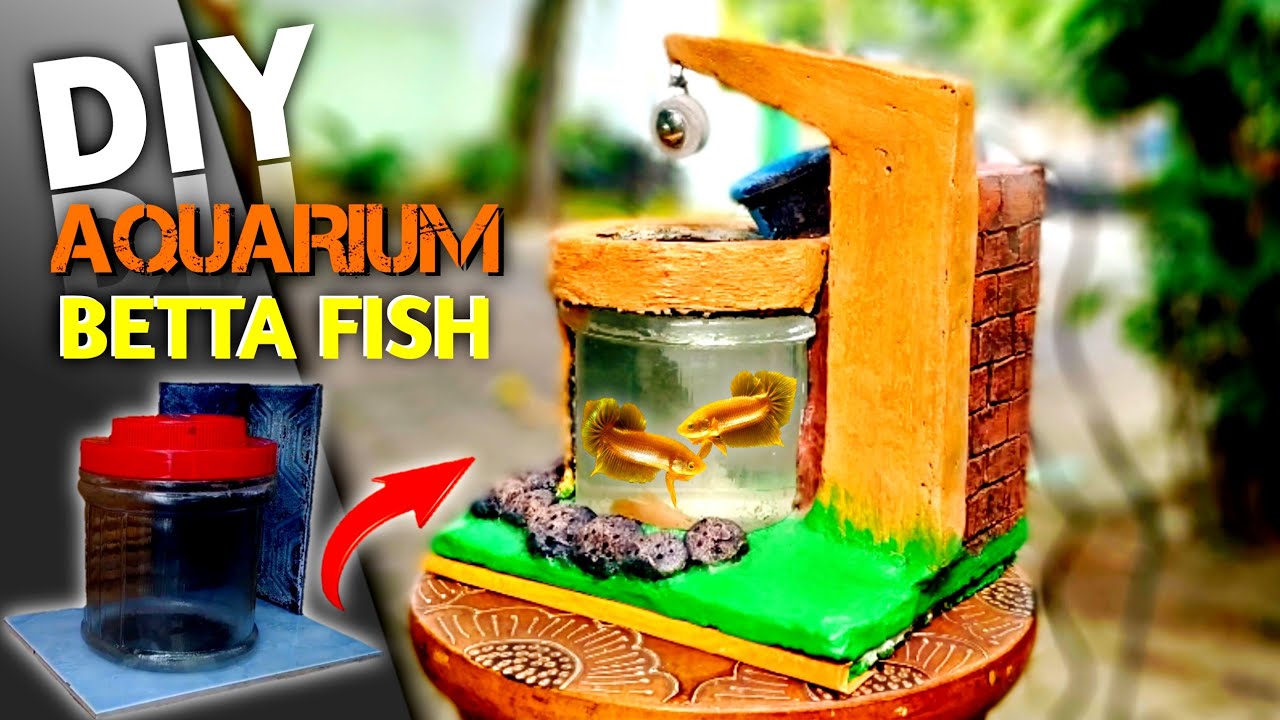 DIY aquarium betta fish - YouTube