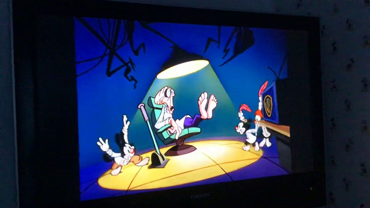 Animaniacs Intro PAL - YouTube