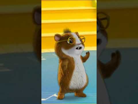 PBS Kids Hooper Says: Dash's Game Of The Day (2008-2009) - YouTube