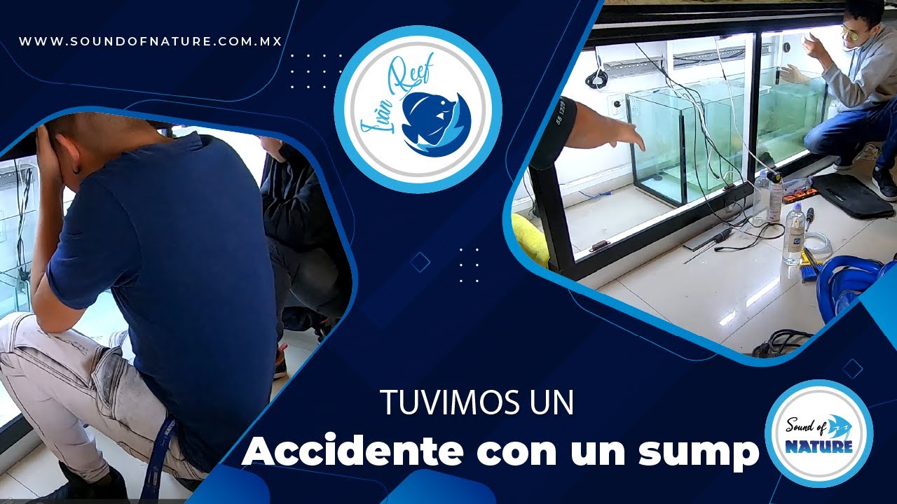 Tuvimos un accidente con un sump - YouTube