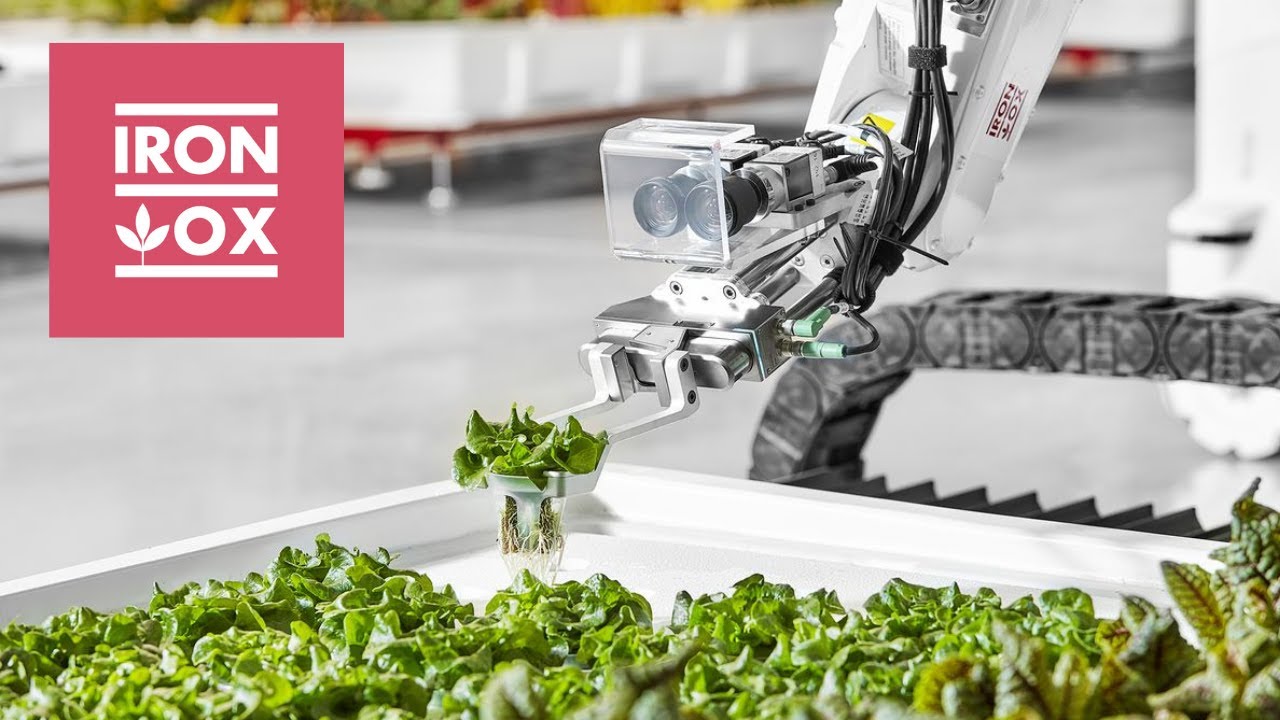 Iron Ox - Robotic Greenhouses (Robotics Startup: Machine Learning ...