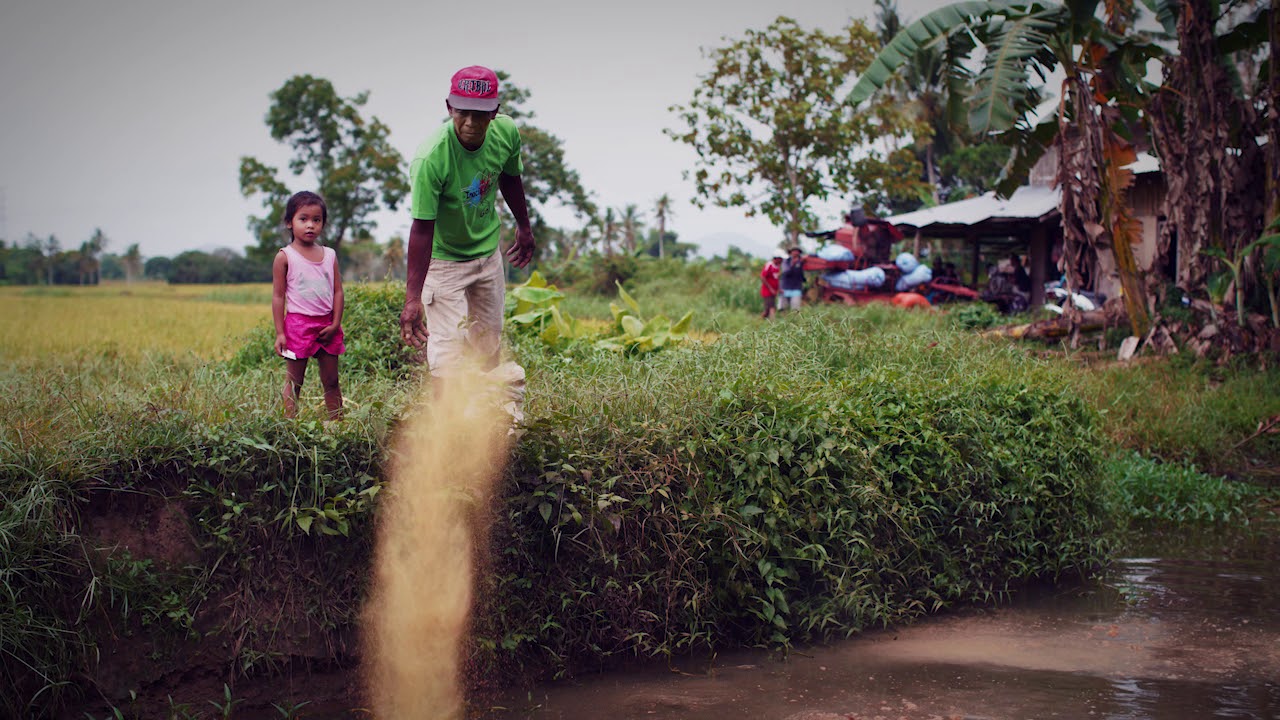 Better Life Farming – Smallholder Farmers Share their Aspirations - YouTube