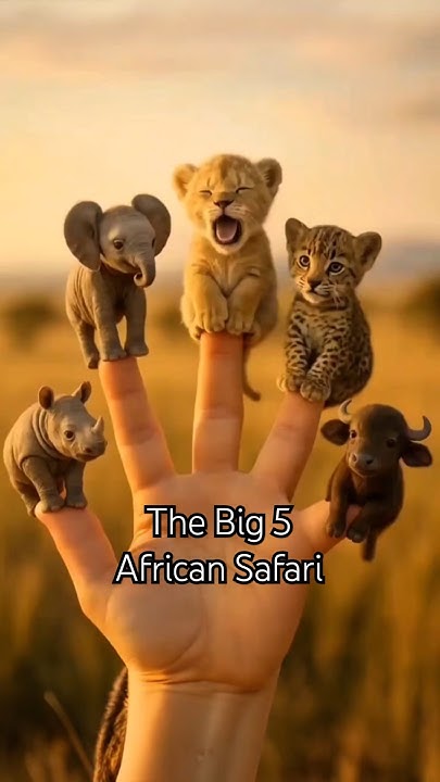 The Big 5 Safari Animals in Africa - YouTube