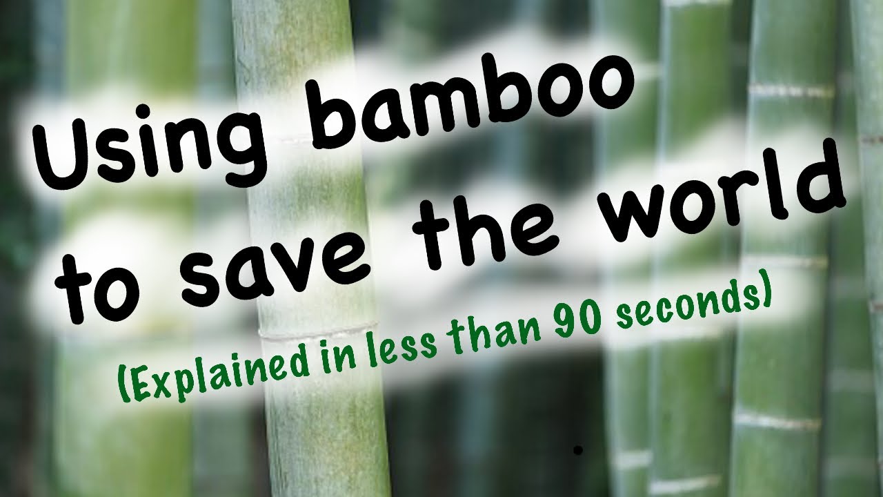 How bamboo can save the world (in less than 90 seconds) - YouTube