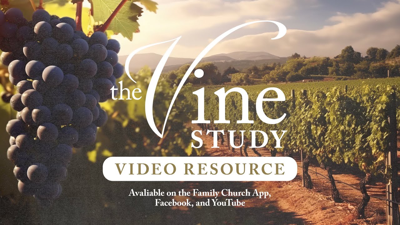 The Video Study - Week 2 - YouTube