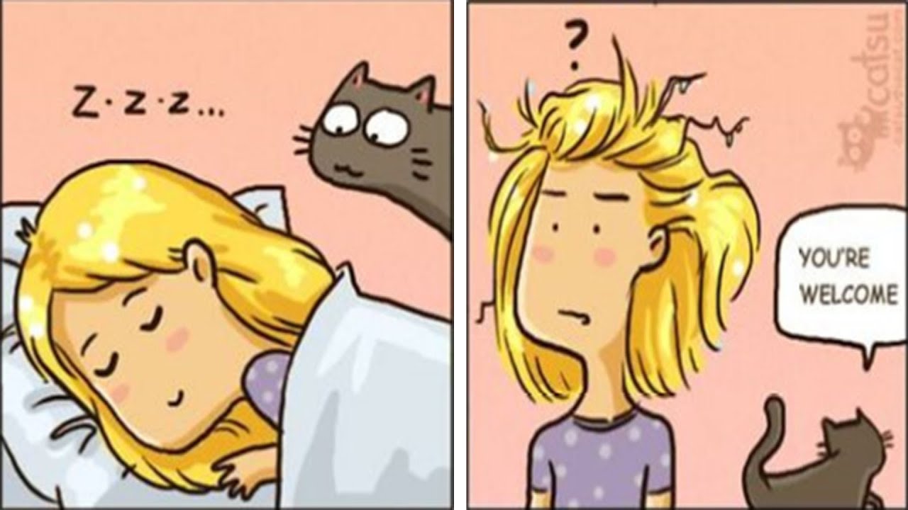 Artist Creates Comics That Purrfectly Capture Life With Cats - YouTube