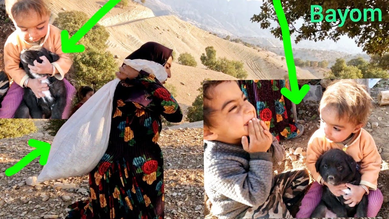 Nomadic life; conflict and loyalty of the Bayom family in the mountains ...