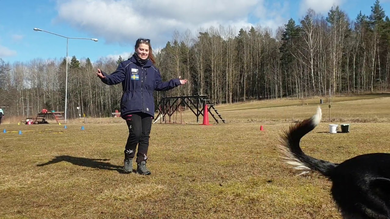 Maze bringing some obedience thunder🔥 - YouTube