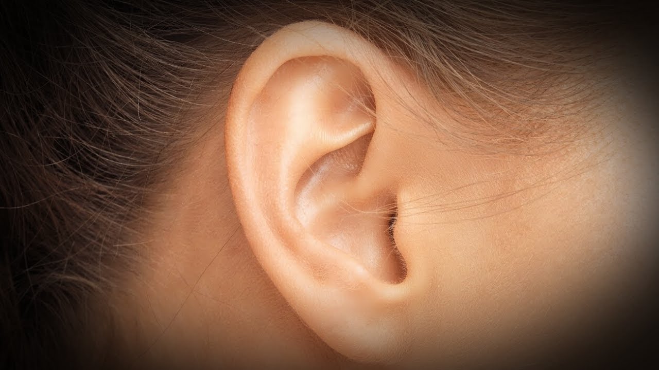 How The Human Ear Works | Anatomy of hearing and hearing loss - YouTube
