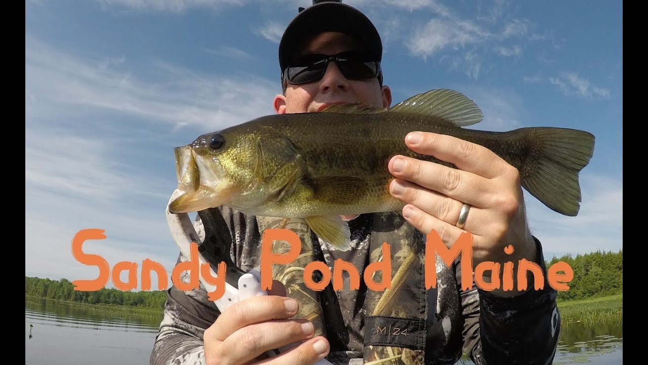 EP. 80 Bass Fishing Maine- Sandy Pond- Nice Bite Vibe Sea Ghost 130 ...