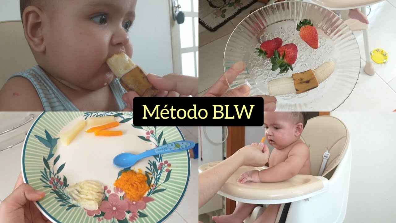 INICIANDO A INTRODUÇÃO ALIMENTAR | COMO PREPARAR OS ALIMENTOS? - YouTube