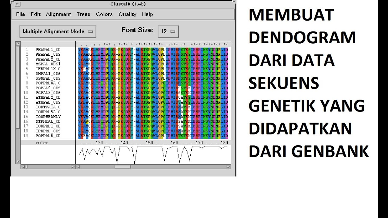 Cara Menyusun Dendogram dari Data Sekuens Nukleotida Dengan Software ...