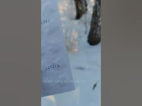 Дешевое средство из аптеки для семян и растений. - YouTube