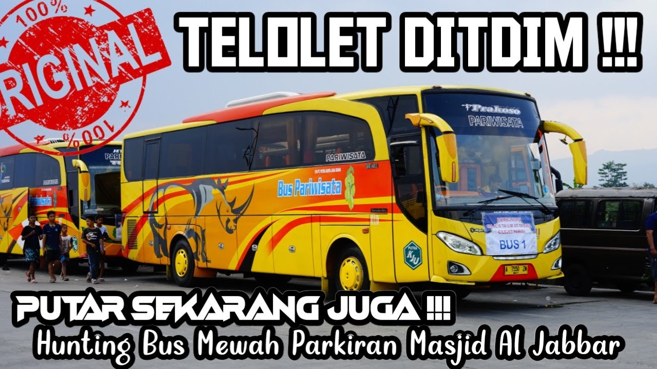 ⛔ KETIKA 7+4 = BASURI TELOLET DITDIM VIRAL 2023‼️Hunting Bus Full ...