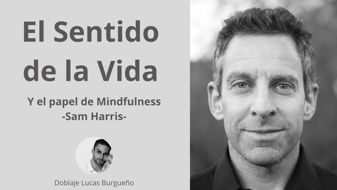 El Sentido de la Vida y Mindfulness - Sam Harris doblaje Español - YouTube