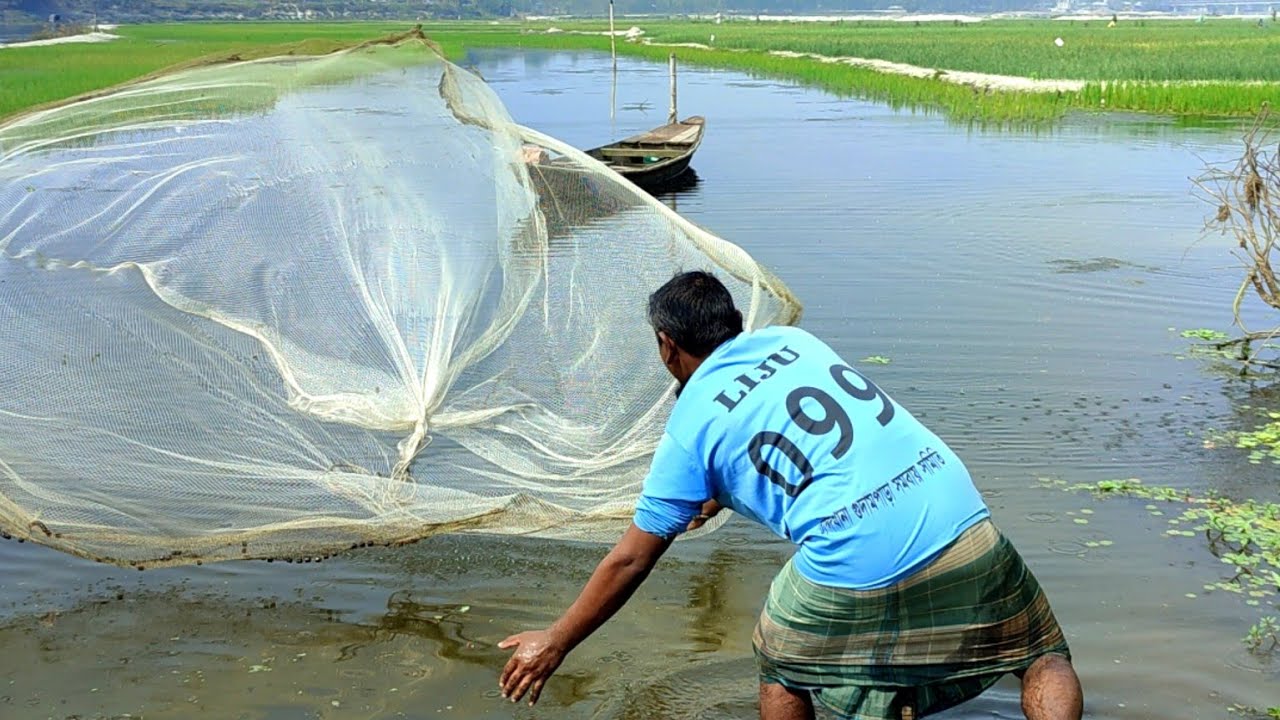 Village Fisherman Catch Very Fish-Amazing Net Fishing-Traditional Net ...