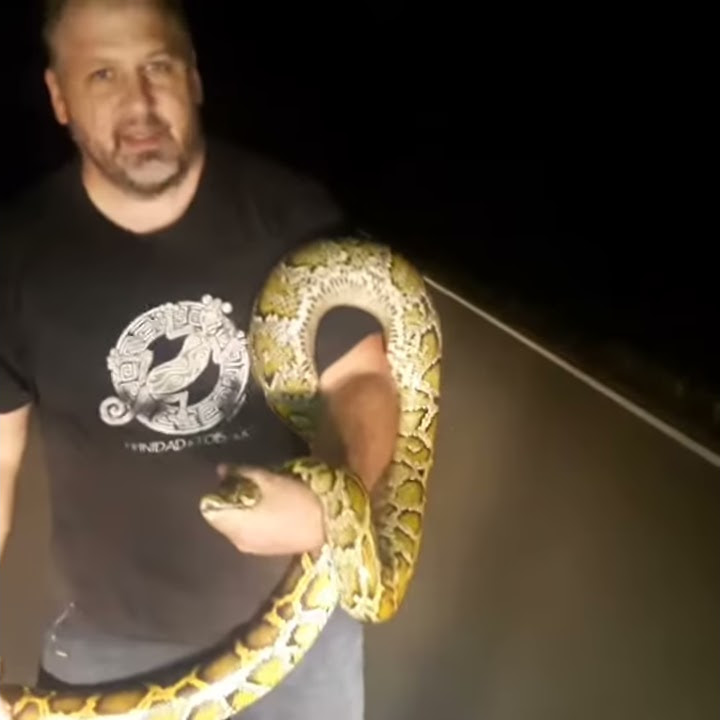 Sarah spots her second python - YouTube