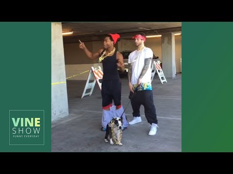 200+ KingBach Vines 2019 - Vine Back