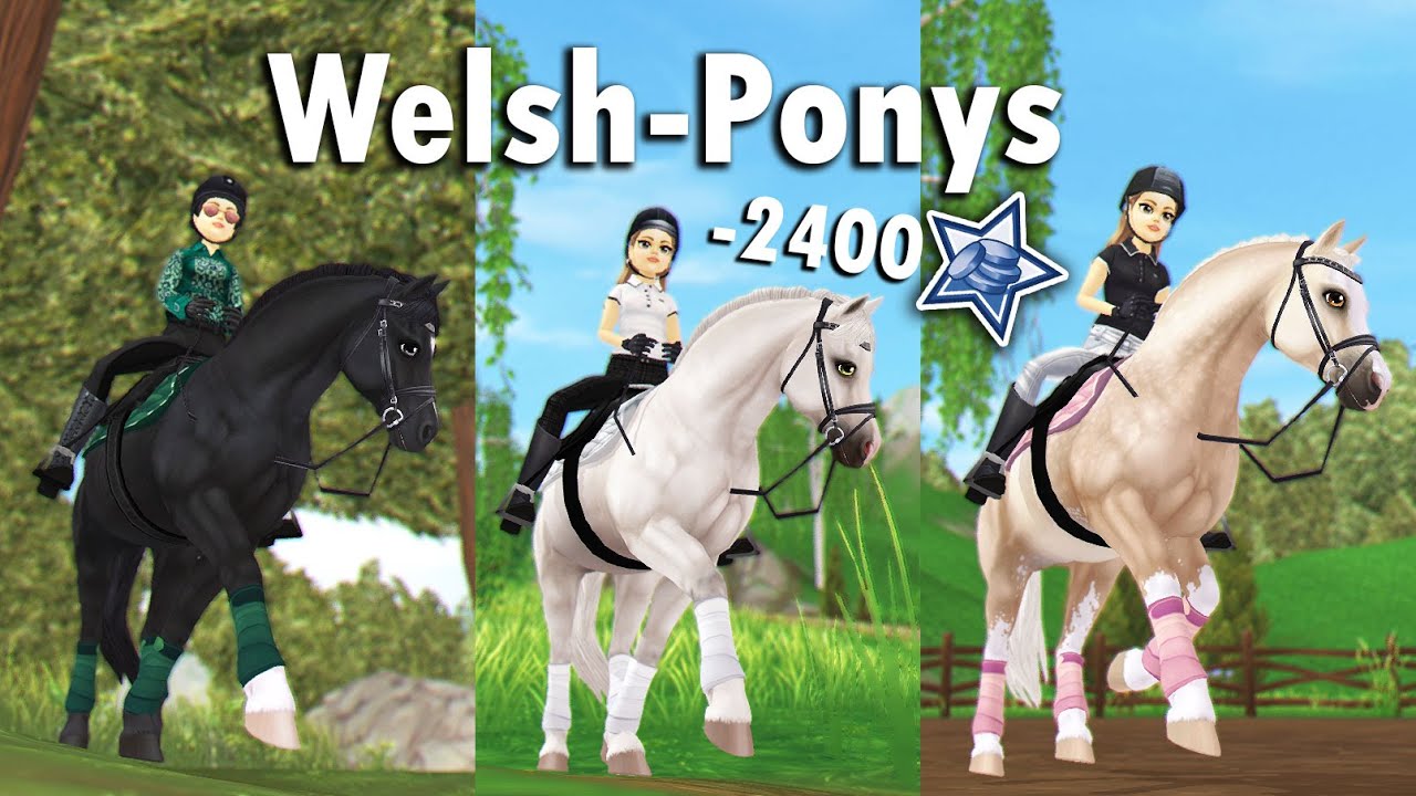Ich kaufe 3 Welsh-Ponys! 😍 NEU & Zuckersüß 🐴 SSO Pferdekauf - YouTube