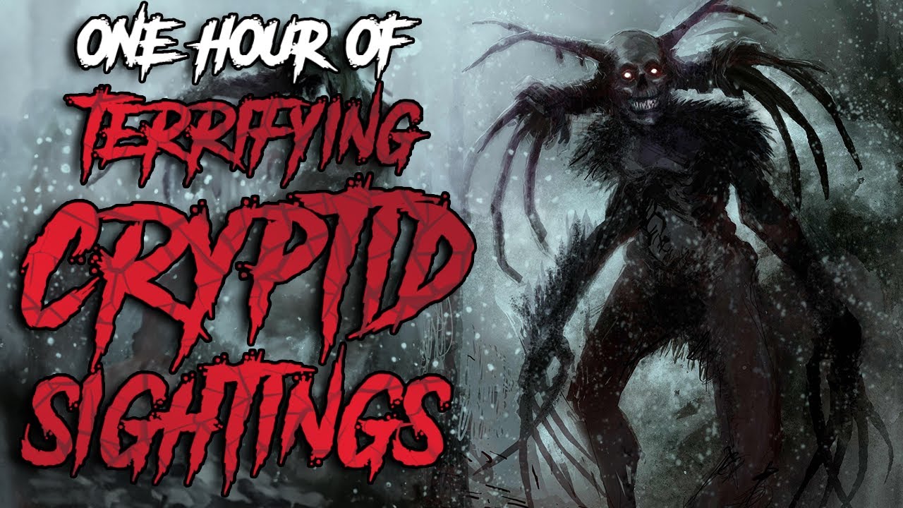 One Hour of Terrifying Encounters with Cryptids - YouTube