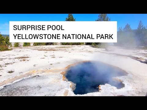 Watching the Surprise Pool in Yellowstone National Park - Wyoming - YouTube