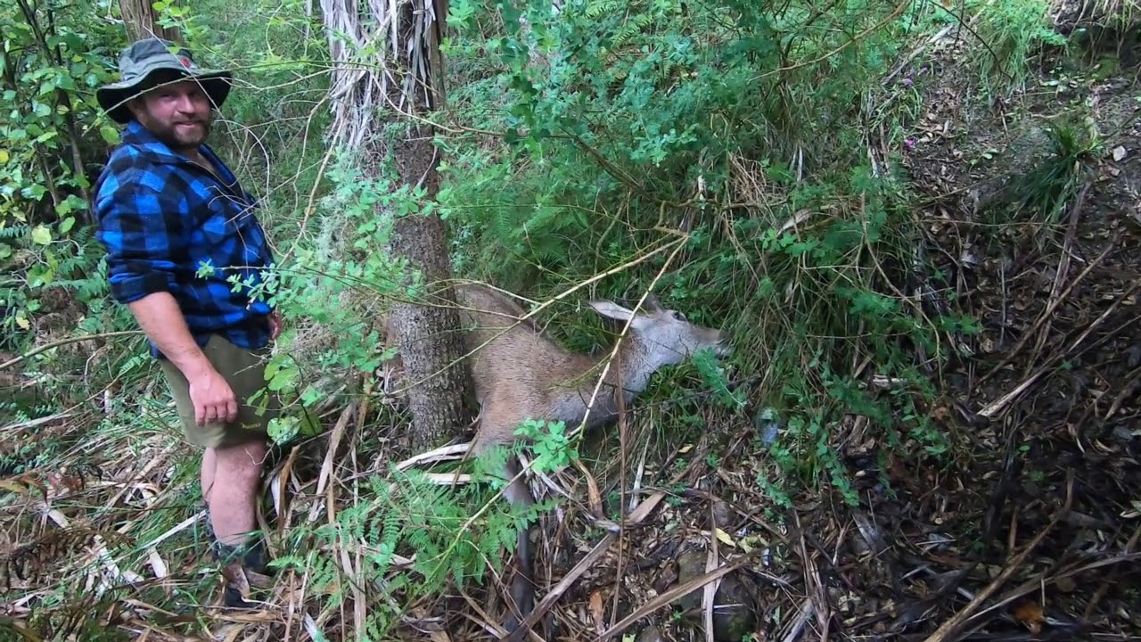 Ruahine meat hunting mission. - YouTube