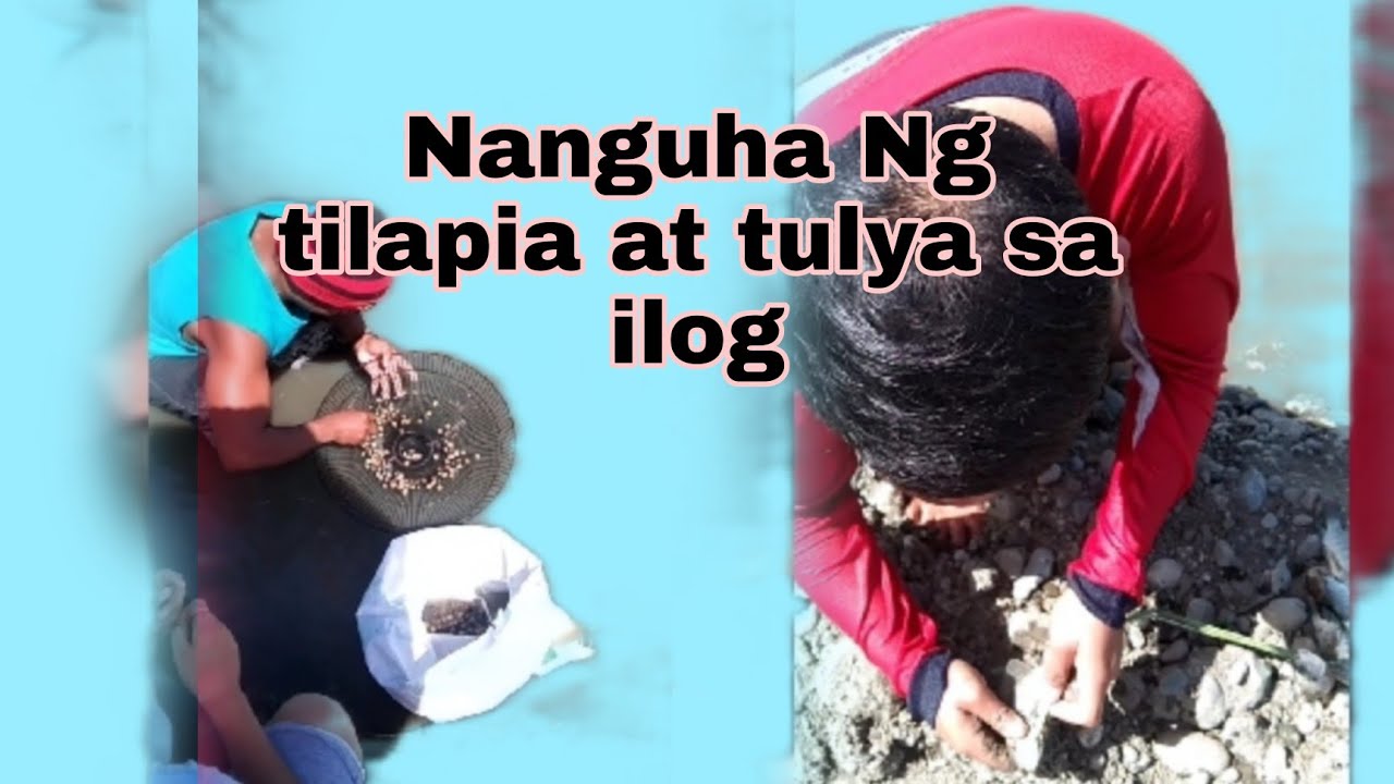 Nanguha Ng tilapia at tulya sa ilog|Pasyal sa ilog - YouTube