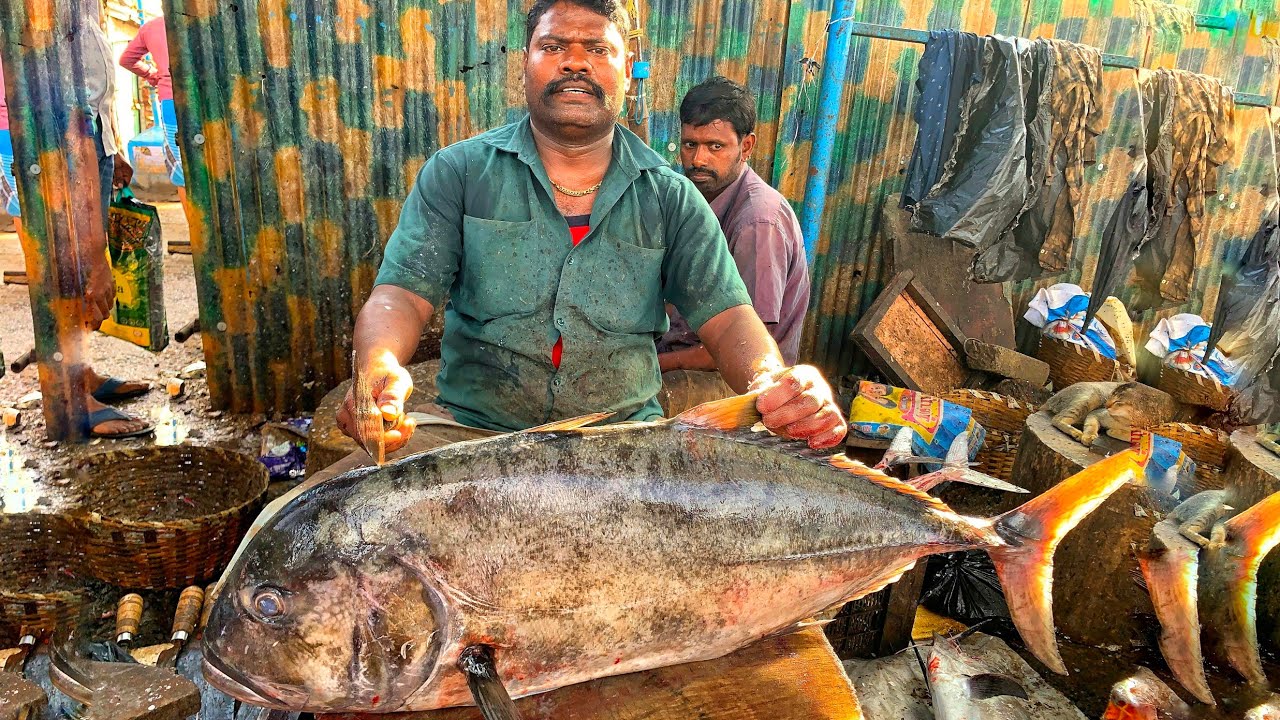 25KG BIGGEST MONSTER TREVALLY FISH🔪INCREDIBLE SPEED FISH CUTTING🔪 ...